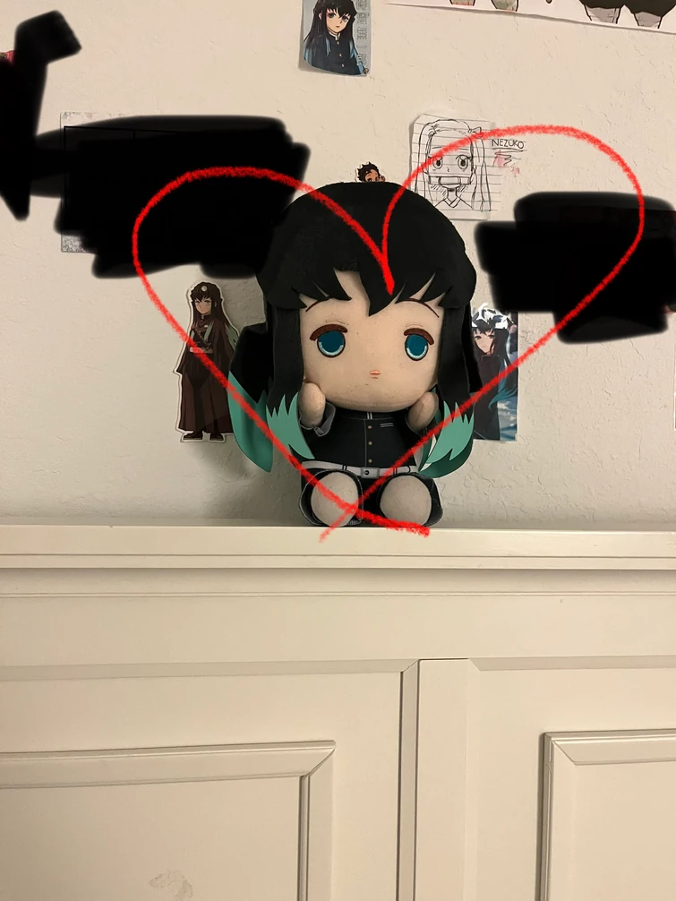 Muichiro plush from con 🤭 | Fandom