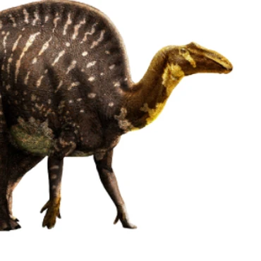 Discuss Everything About Dinopedia | Fandom