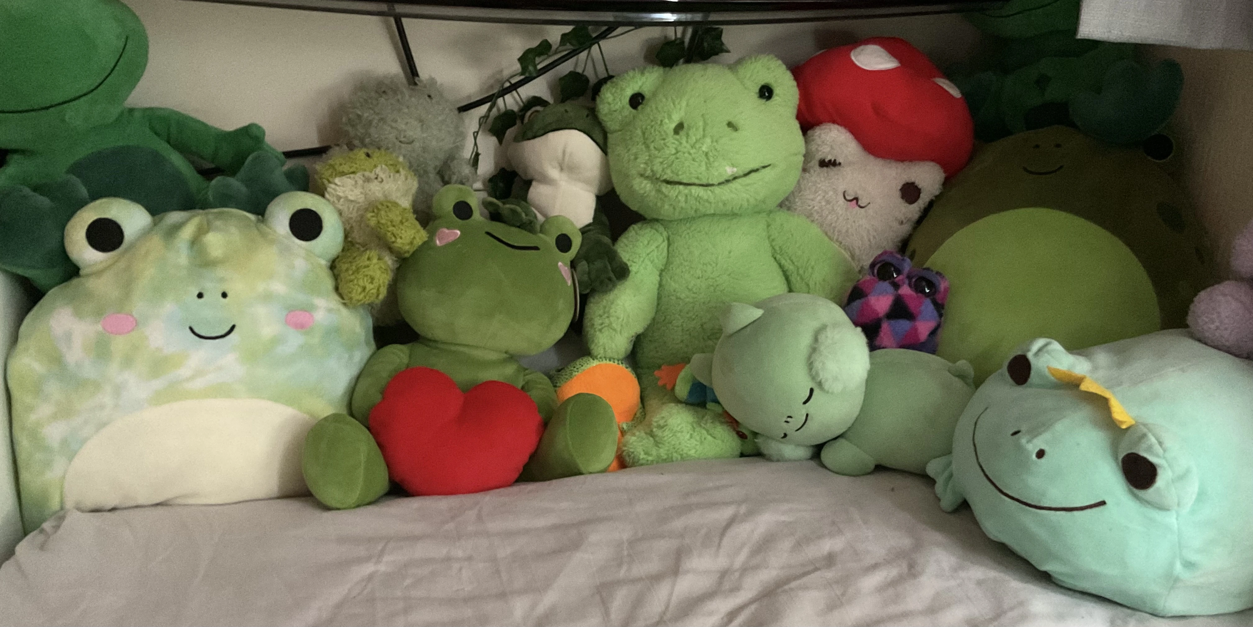 I sleep with all these mfs looking at me | Fandom