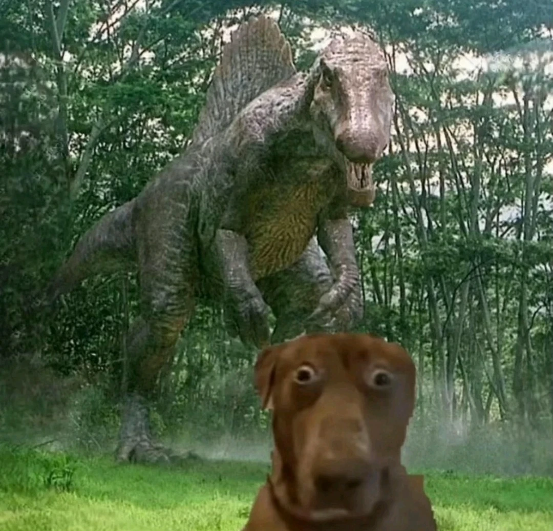 Can I get the prices for the shadow creatures and diox? | Fandom