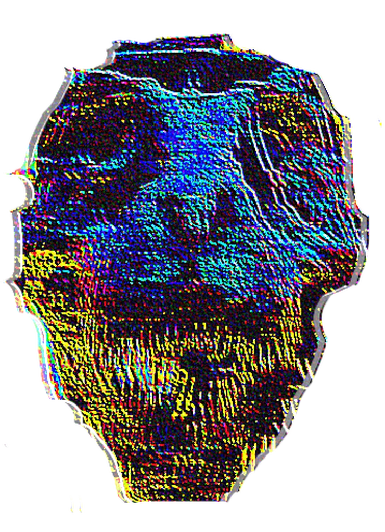 My Entity Concepts | Fandom