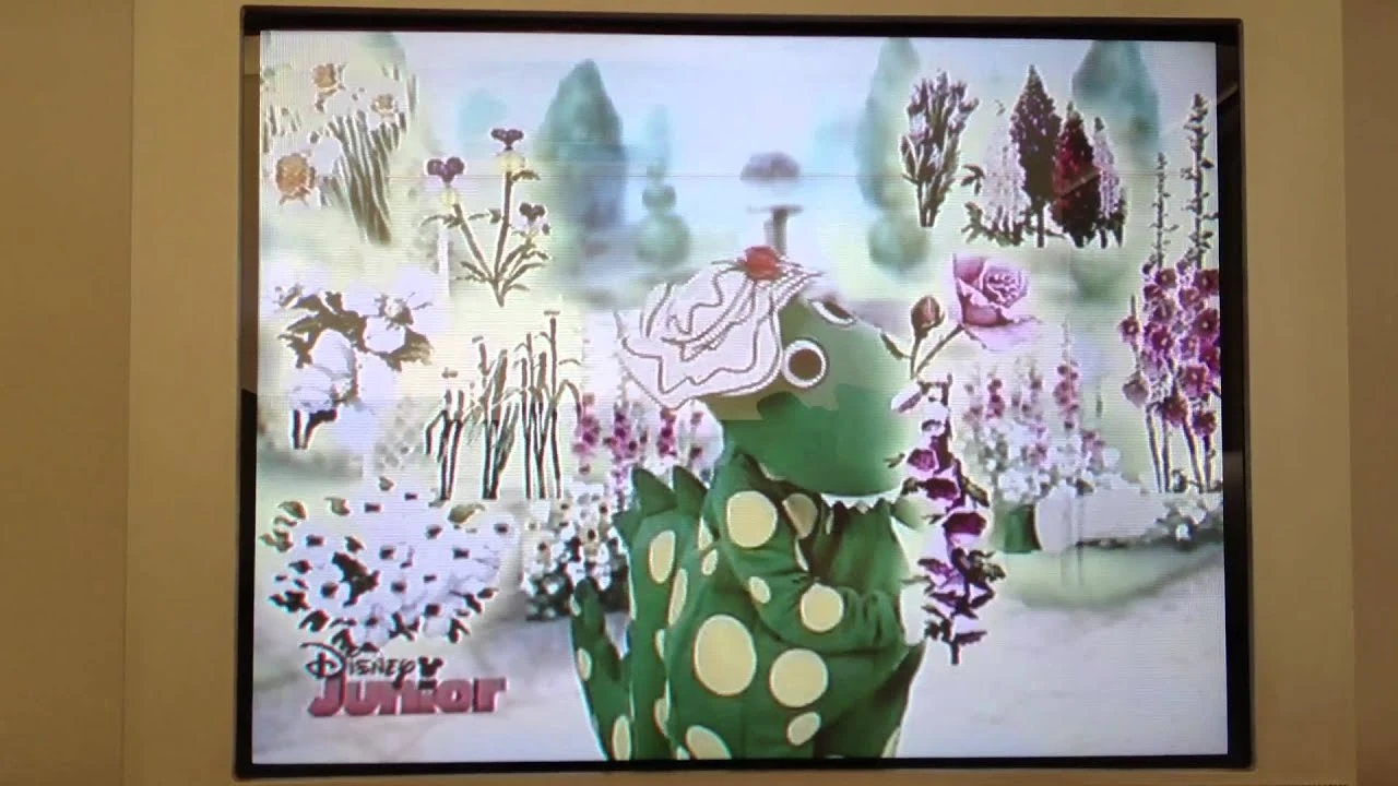 Wiggle e Aprenda (Brasil) | Fandom