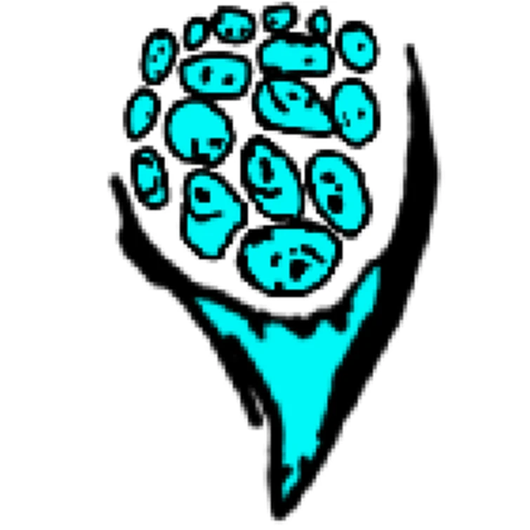 I made A-181, X-181 and XX-181 | Fandom