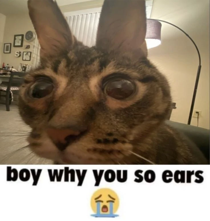 random post day 35 | Fandom