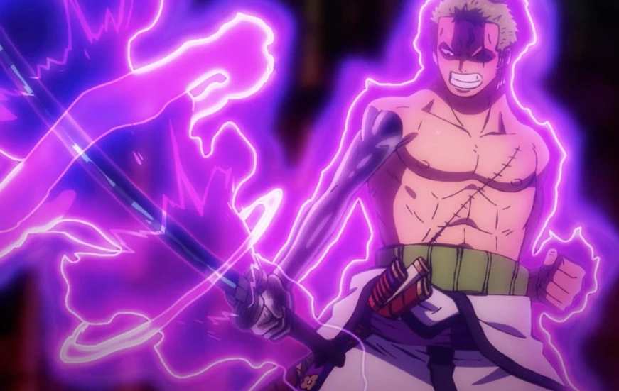 Zoro 6 Star Concept | Fandom