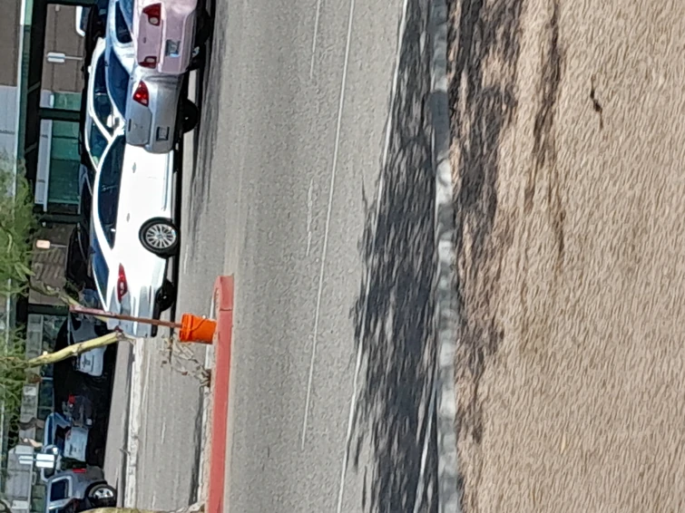 Cursed cars IRL. 💀 | Fandom