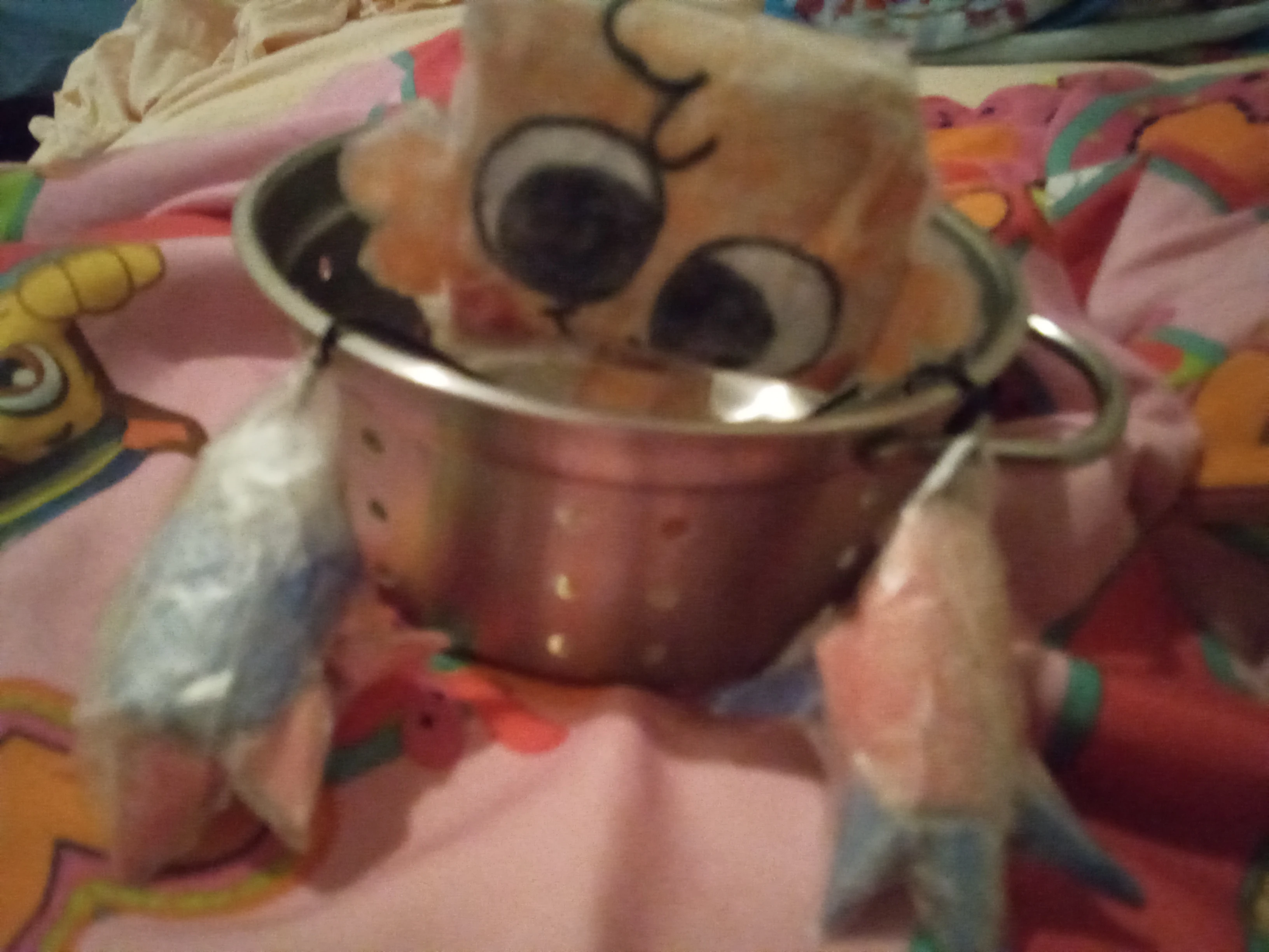 More of my irl goob (the craft i made a while ago) | Fandom