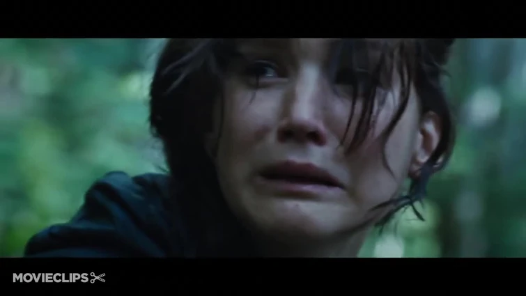 Discuss Everything About The Hunger Games Wiki | Fandom