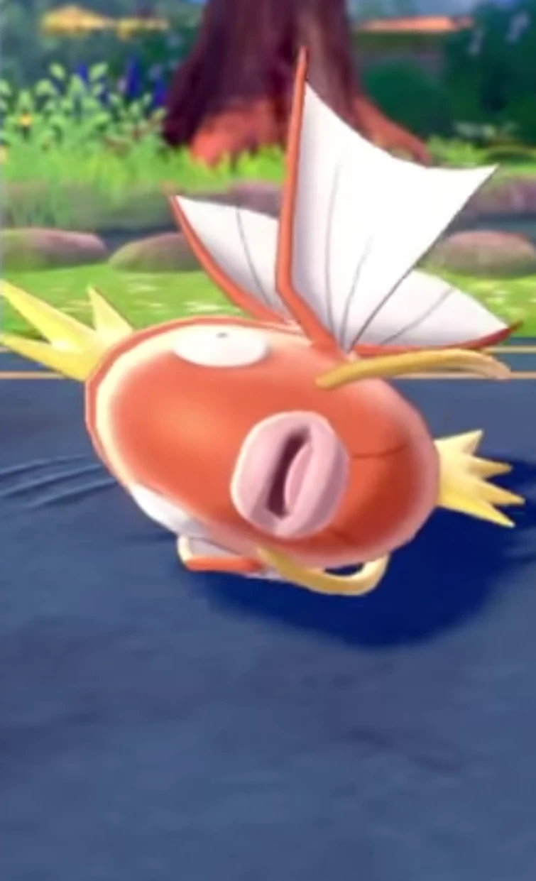 random fish post | Fandom