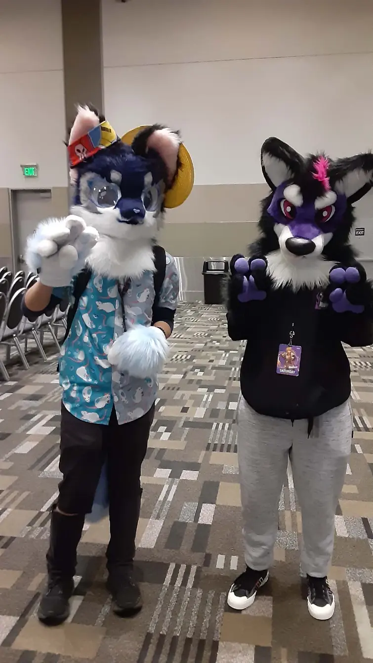 some fursuit pics from a convention | Fandom
