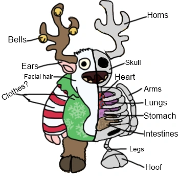 Monster Anatomy (3) | Fandom