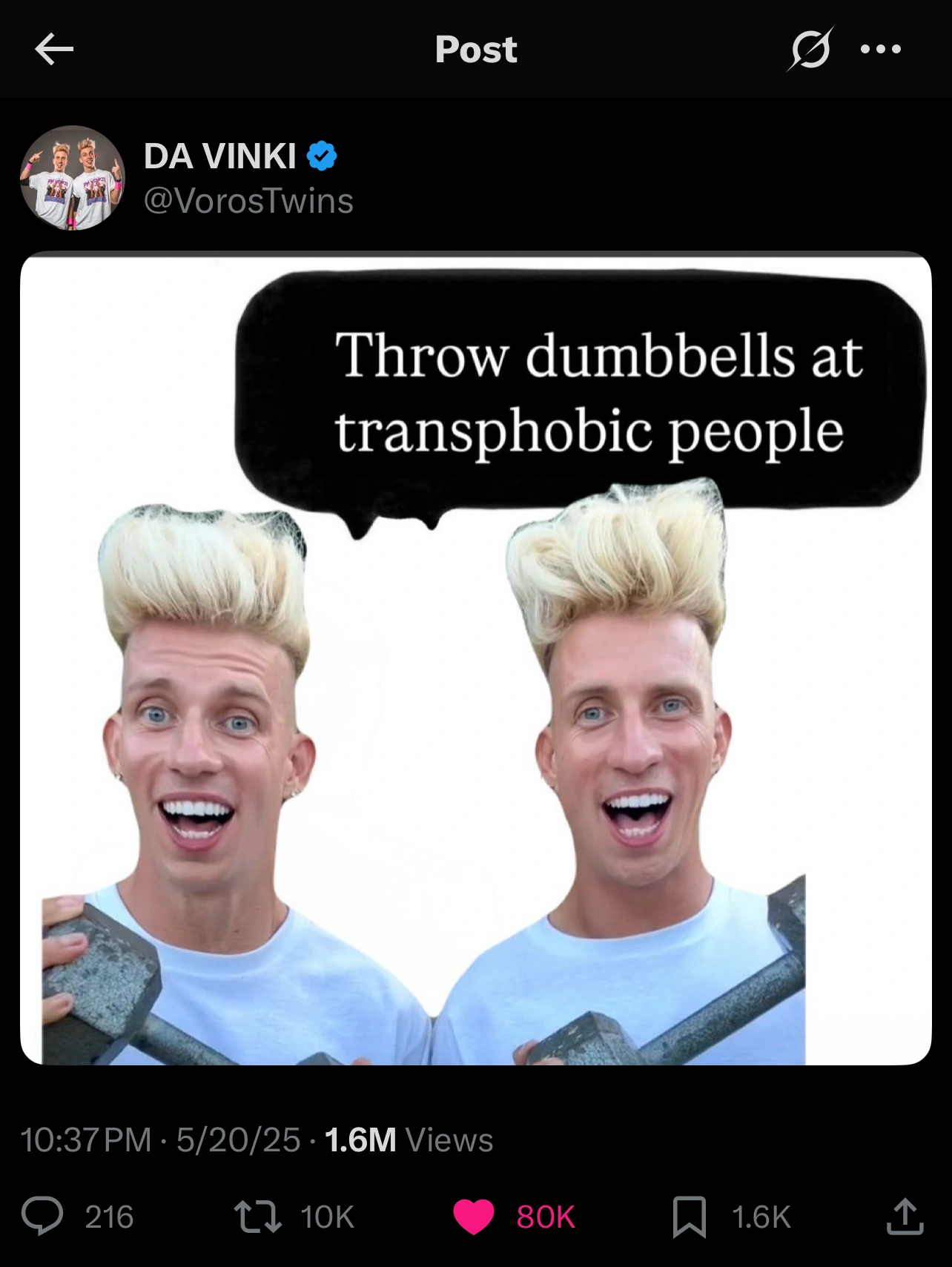 They could never make me hate you, Da Vinki Twins. | Fandom