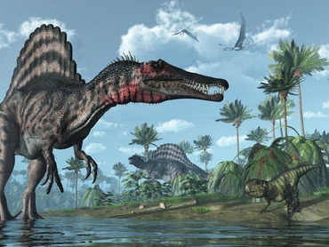 Orca vs Spinosaurus (takes place in deep water) | Fandom