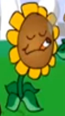 This new variant of sunflower looks fire | Fandom