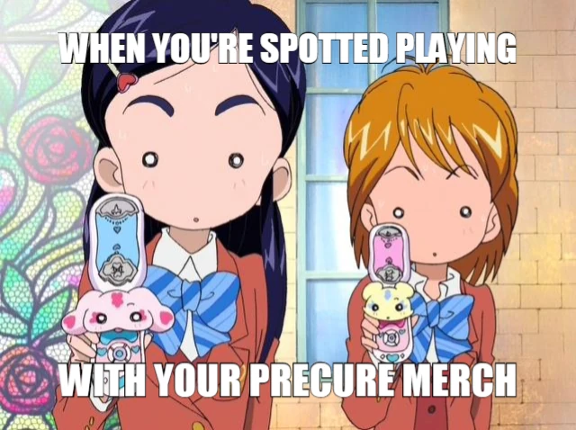 PreCure Memes #30 | Fandom