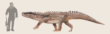 Quest for mammals to end Barinasuchus part 3 | Fandom