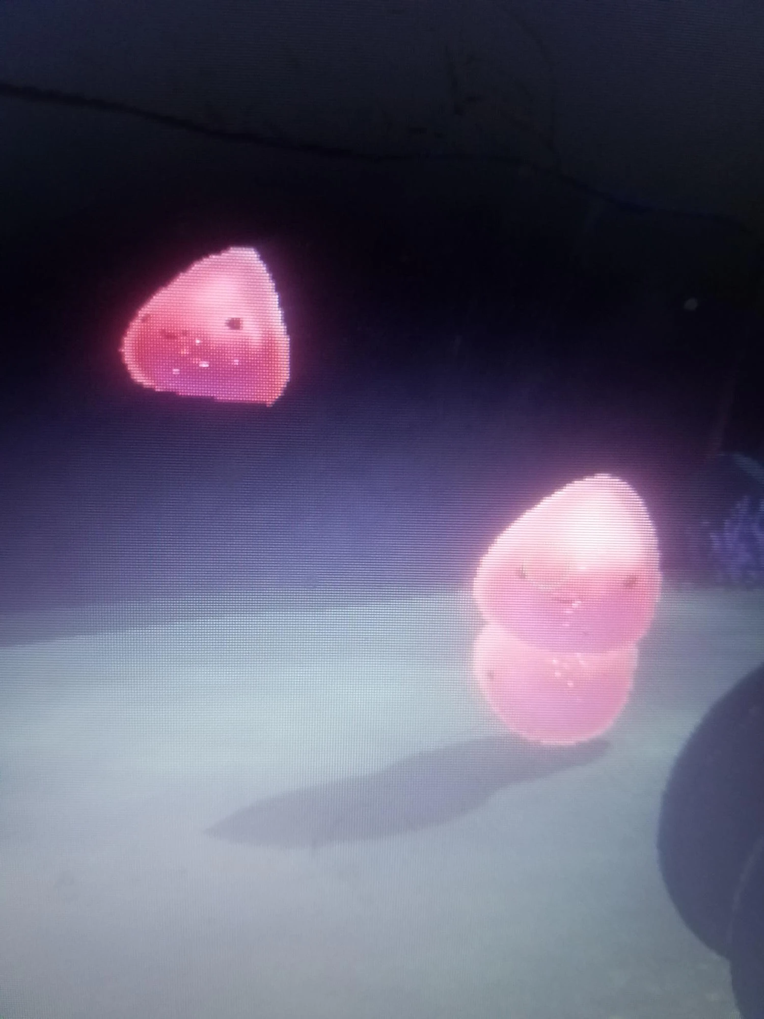 Slimes in their habitat | Fandom