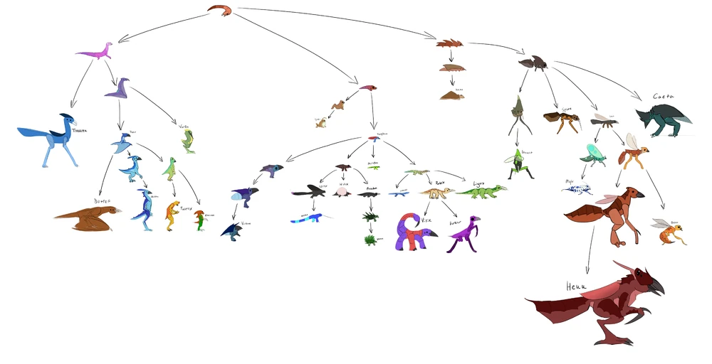evolutionary tree I found | Fandom