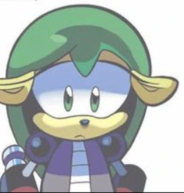 Discuss Everything About Sonic News Network | Fandom