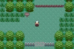 Pokémon Too Many Types review (part 2) | Fandom