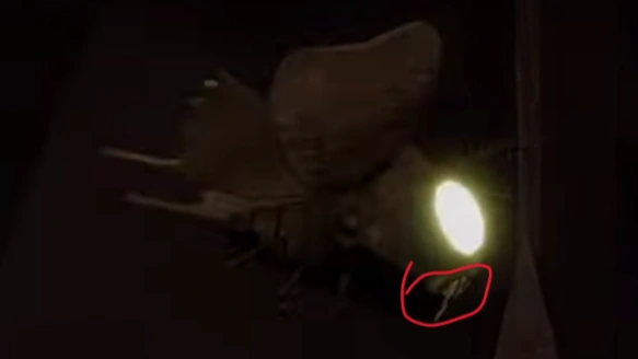 Here's a better look at those Moths, and as we can see, they have teeth ...