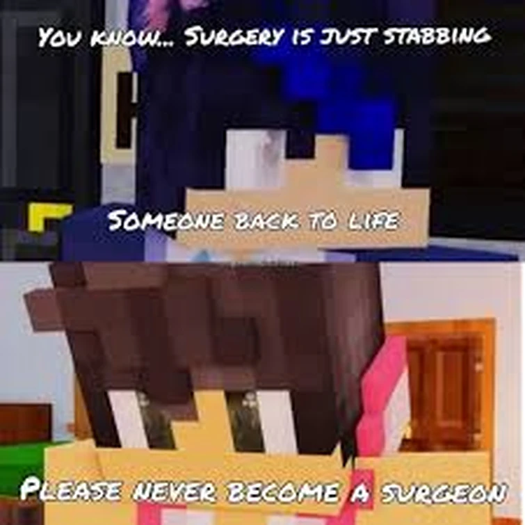 Some Aphmau Memes Fandom