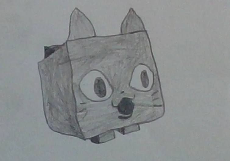 🎆The Pog Cat!🎆 | Fandom