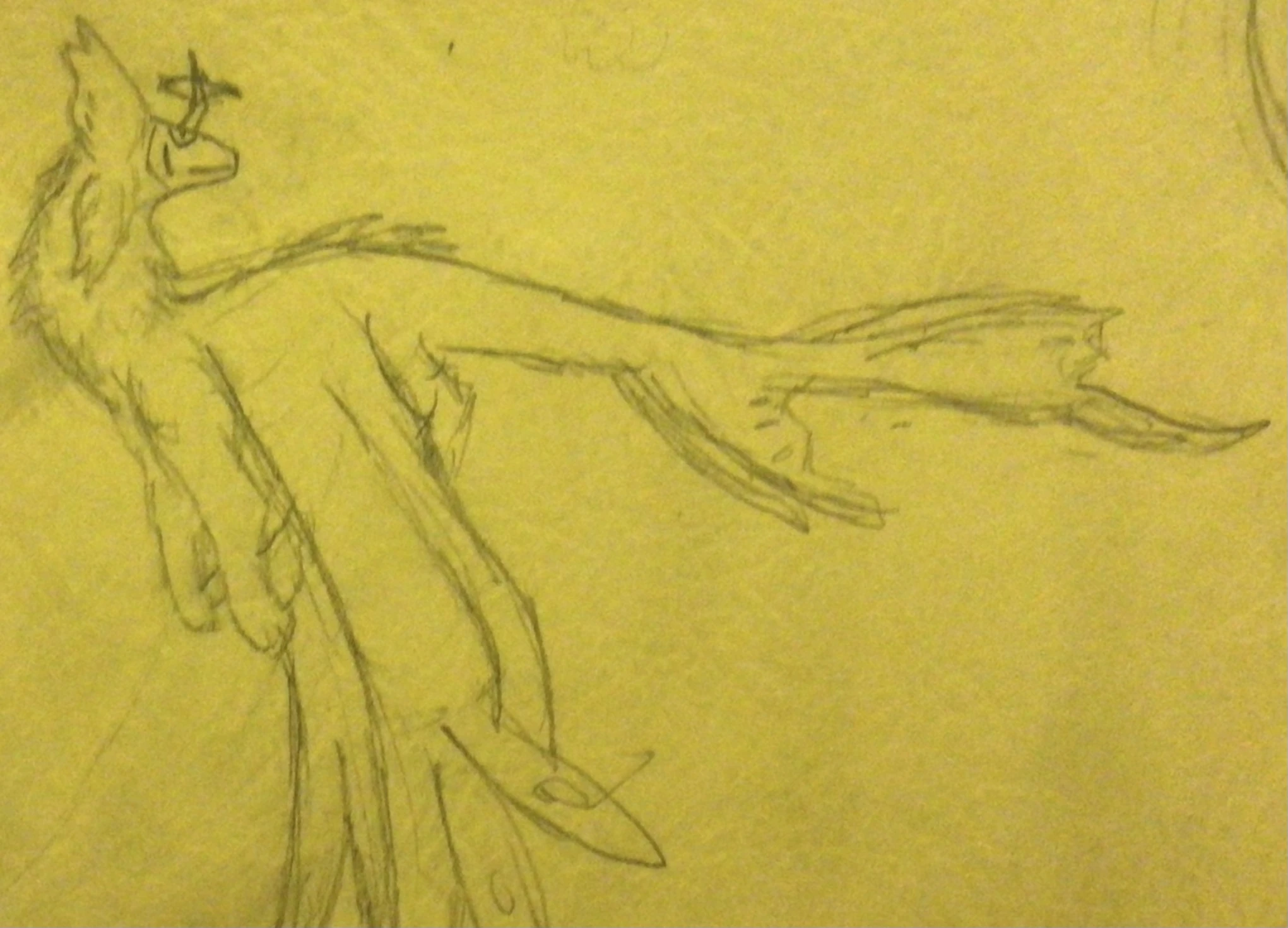 Aer doodle ig | Fandom