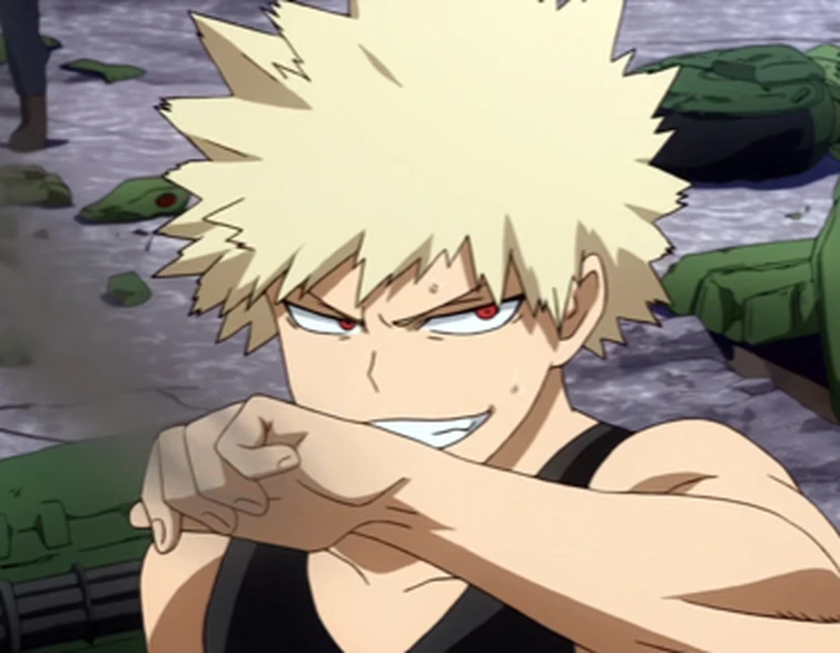 Top 10 Guyfu’s in My Hero Academia. | Fandom