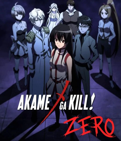 What if they have an anime series of the prequel of Akame Ga Kill! Zero ...