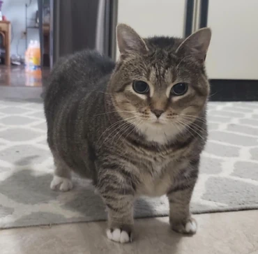 Am I now considered as Lollang from library of Ruina (this is a joke ...