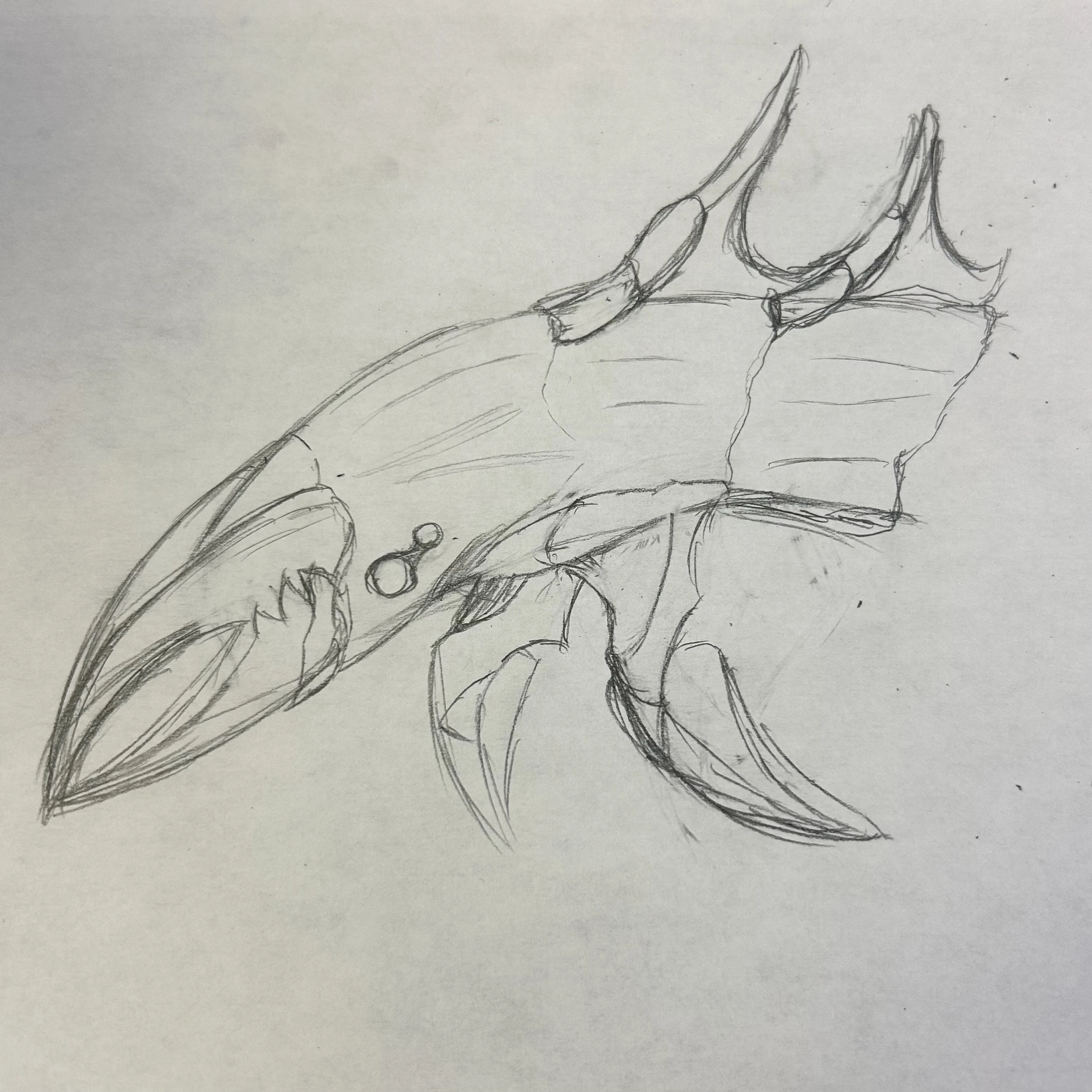 Drew a Chelicerate Leviathan | Fandom
