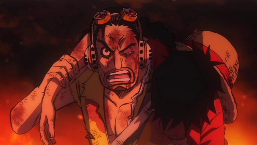 Usopp's future | Fandom
