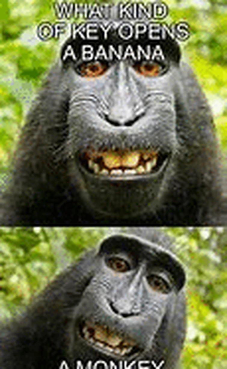 Reject Humanity, Return to MONKE | Fandom