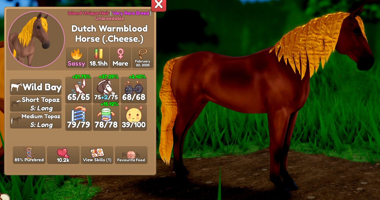 Swapping Dwb Iuh | Fandom