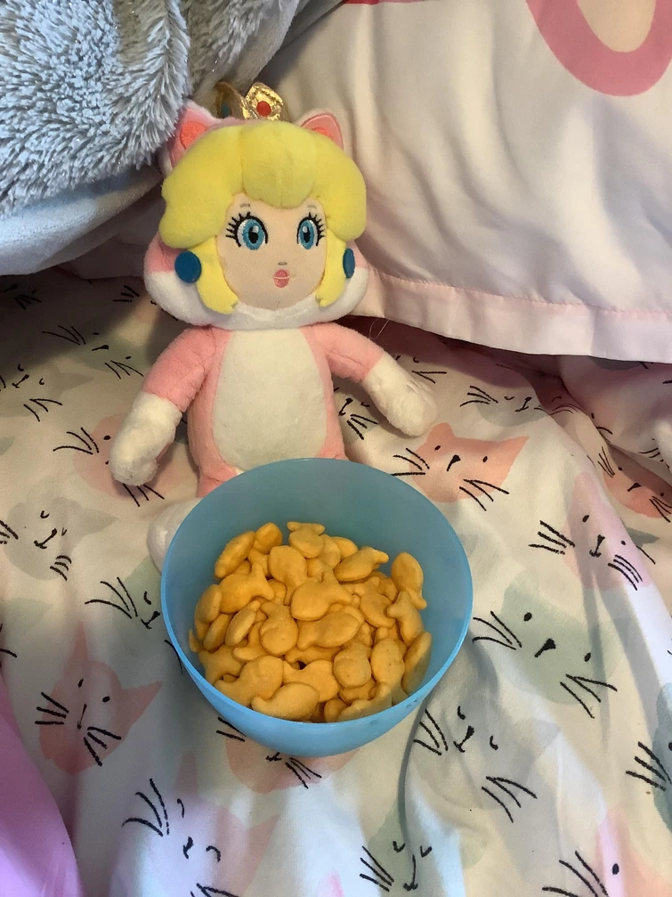 Cat peach with my bowl of goldfish crackers | Fandom