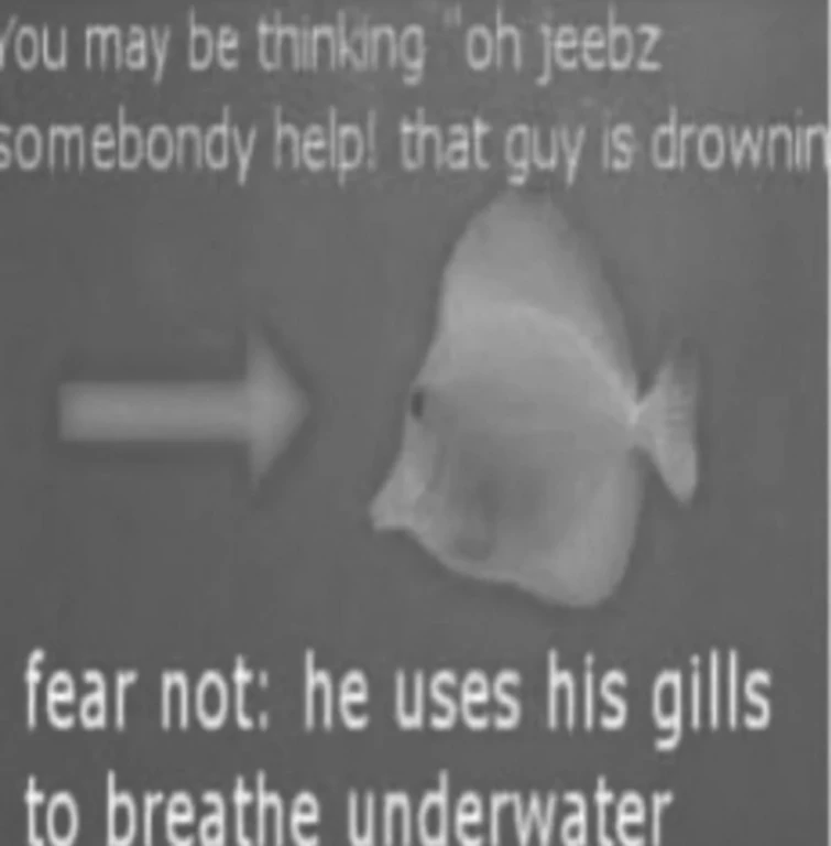 permission to make the next installment of BFDIYA | Fandom