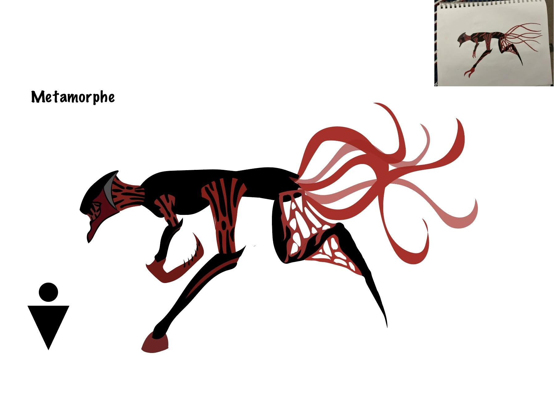 Metamorphe my first digital art | Fandom