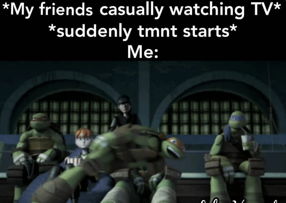 TMNT Meme Of The Day | Fandom