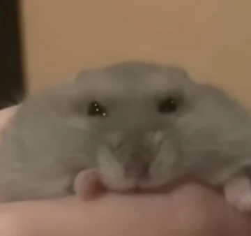 chat uh help i may look dumb but how the hell do i get out of the deep ...