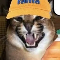 floppapedia twitter account!? | Fandom