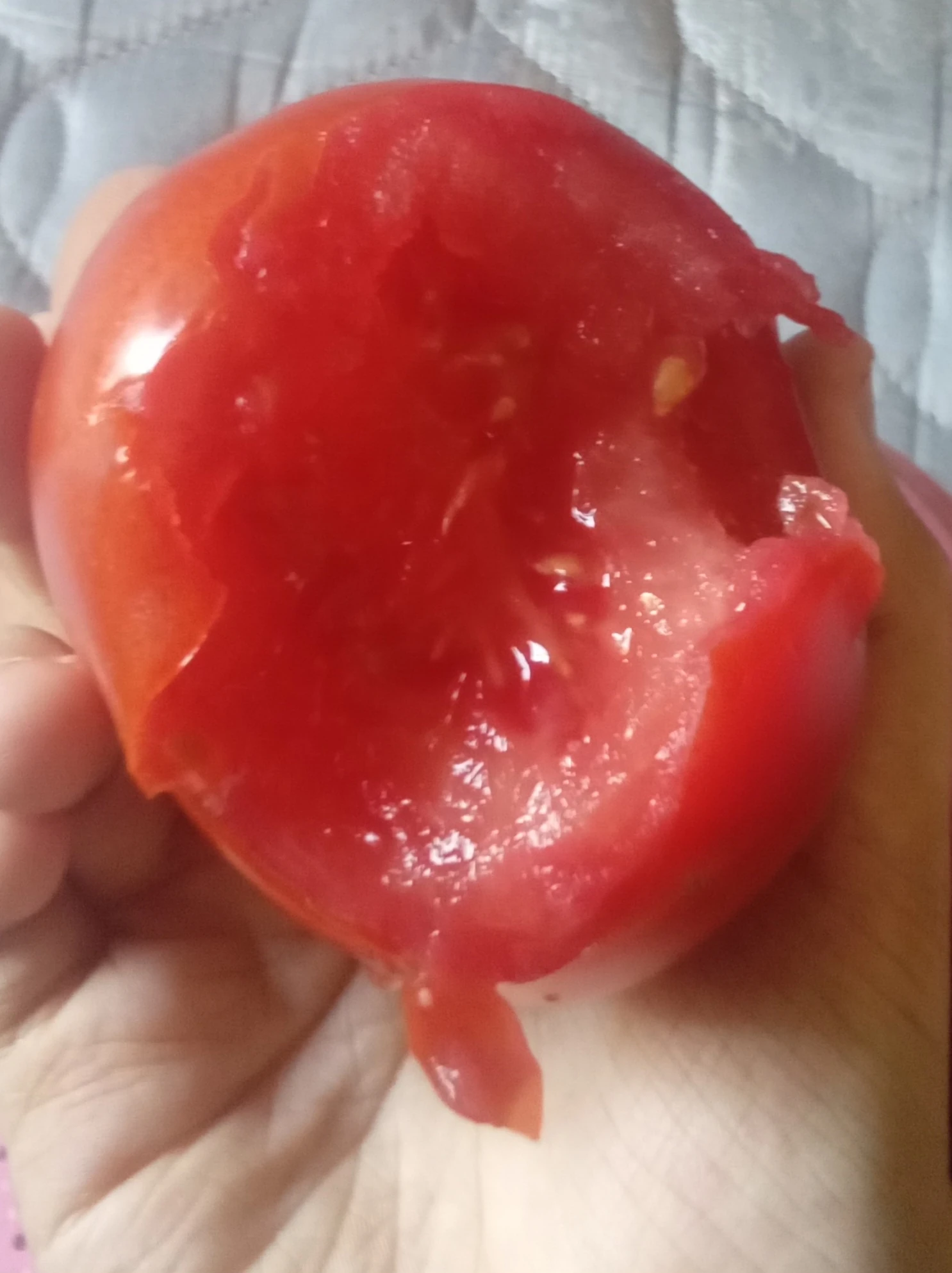 tomato power | Fandom