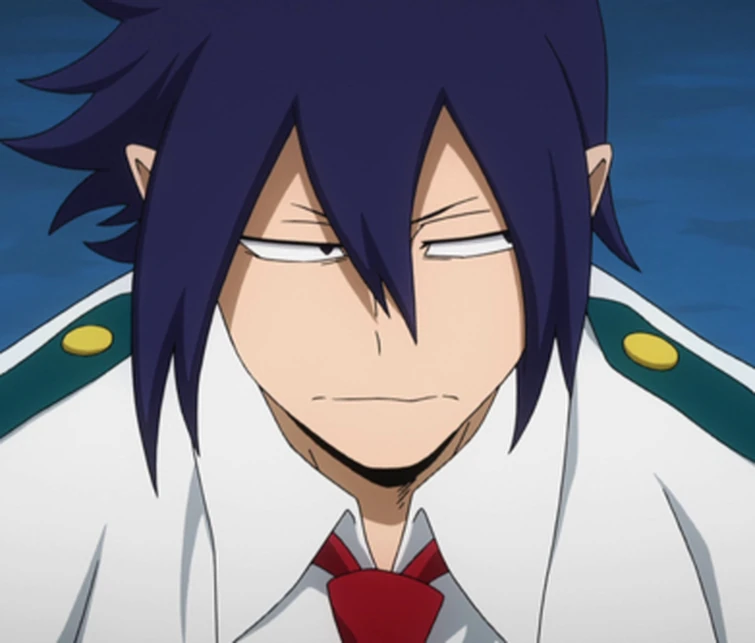 Top 10 Guyfu’s in My Hero Academia. | Fandom