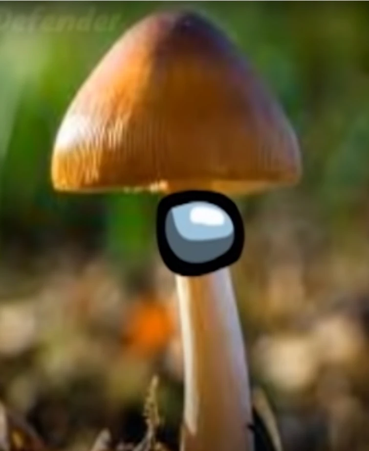 Discuss Everything About Wiki Impostores de Among Us | Fandom