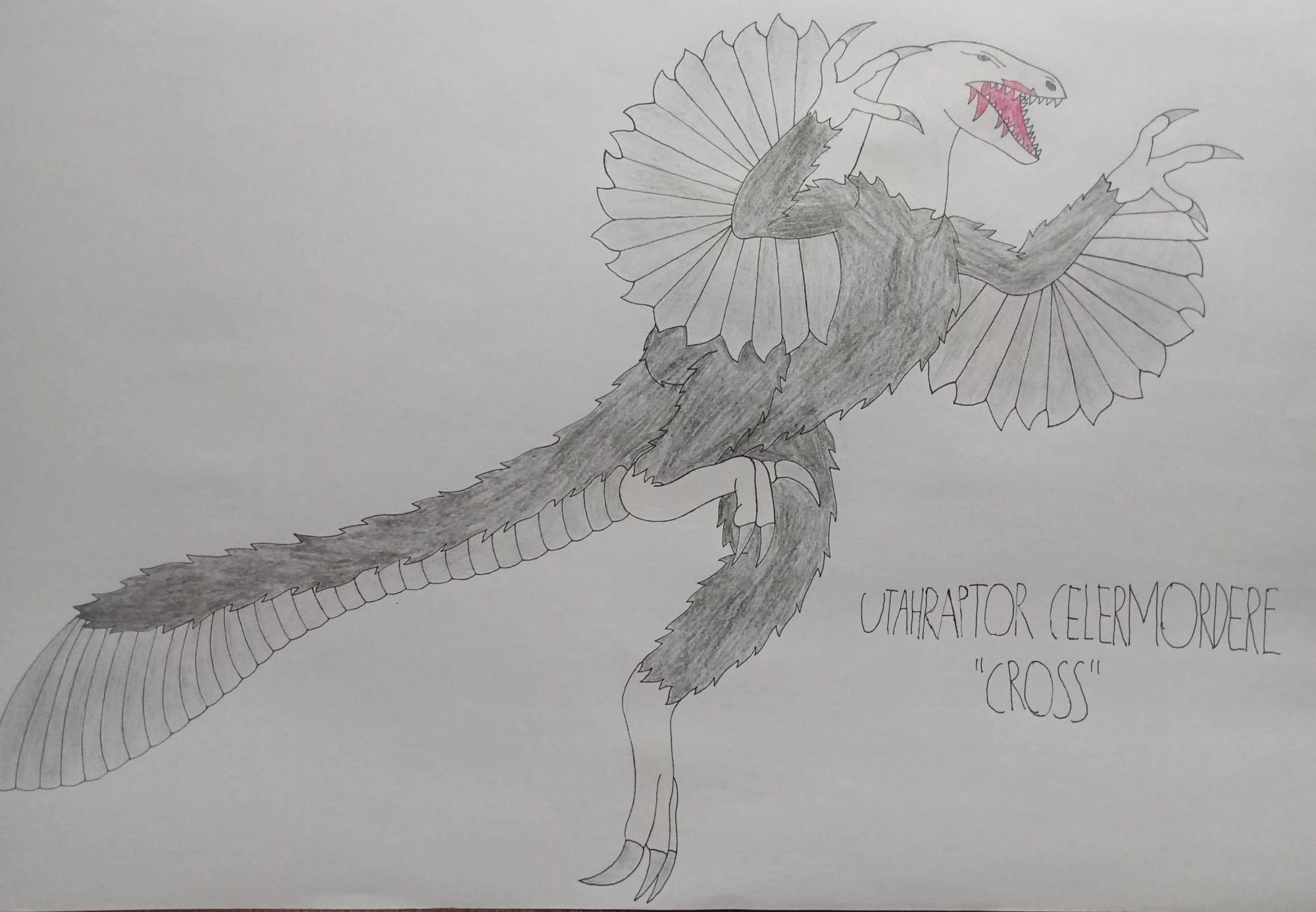 Sauria Island Character Profiles: Meet Cross. | Fandom