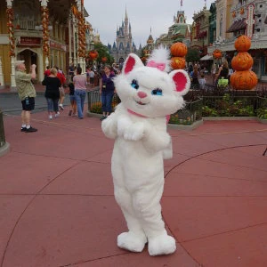 A Petition of Making Marie make Public Appearances Again in Disney ...