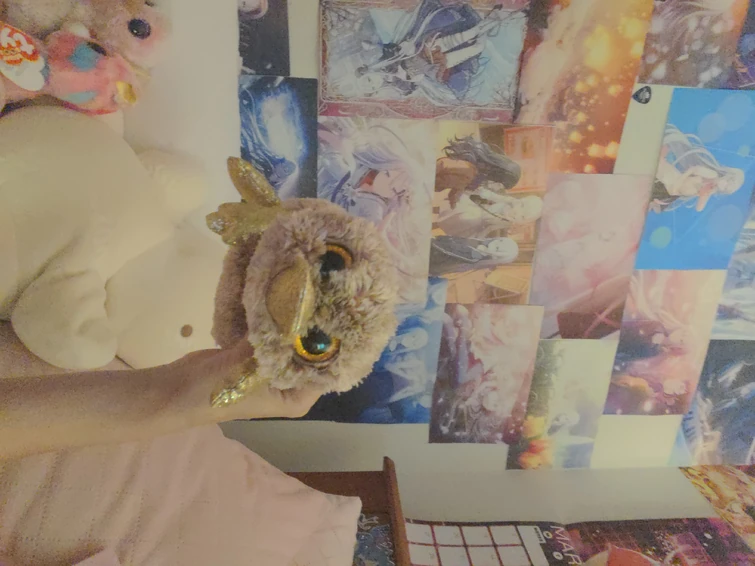 Do you guys think Rui would have a plushie like this | Fandom