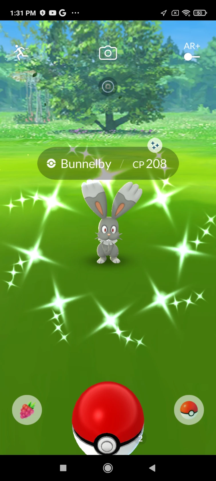 Not the shinies I wanted, but shinies nonetheless. | Fandom