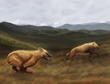 Discuss Everything About Dinopedia | Fandom