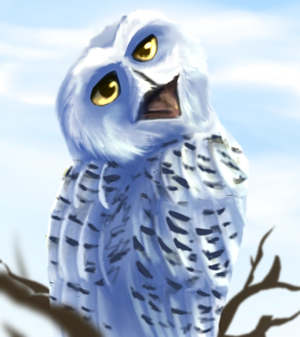 Owl say hi | Fandom